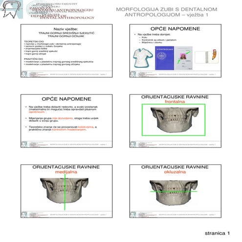morfologija-vjezba 1 | PDF