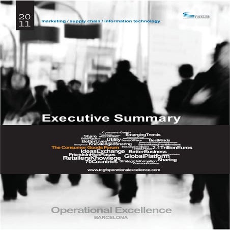 Operational Excellence 2011 Executive Summary | PDF