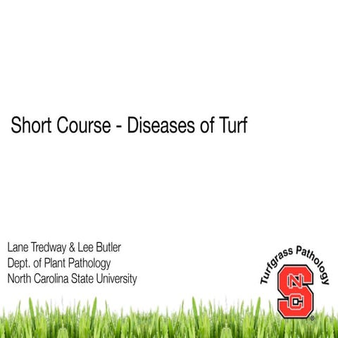 2011 Short Course | PDF
