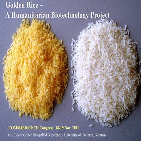 Golden Rice | PPT