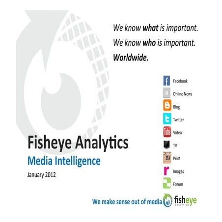 Fisheye Analytics | PDF