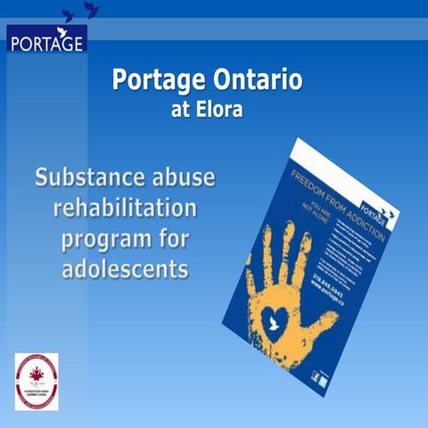Drug addiction rehabilitation program for youth - Portage Ontario | PPT