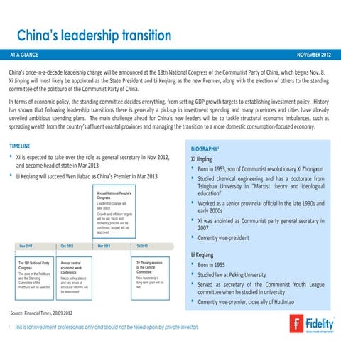 China Internal Decision Support System DynamicsDynamics.pptx