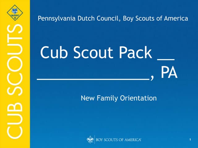 ACTIVITIES-IN-BOY-SCOUTING.pptx