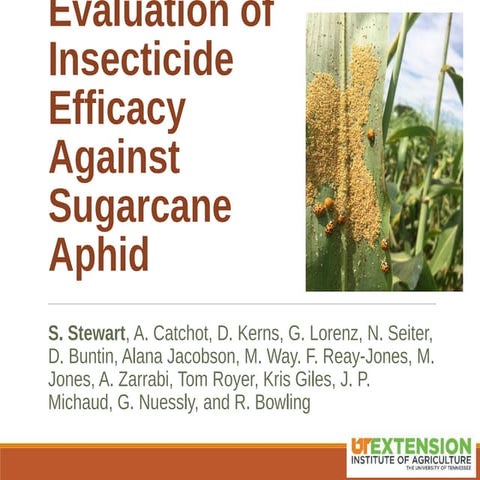 Standardized Evaluation of Insecticide Efficacy Against Sugarcane Aphid ...