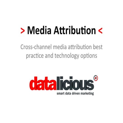 Media Attribution Platform Options | PDF