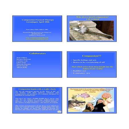 Gilbert CIP2012 | PDF