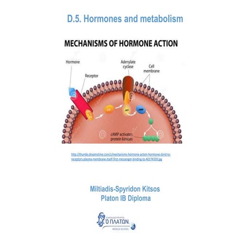 D.5. hormones and metabolism | PPTX