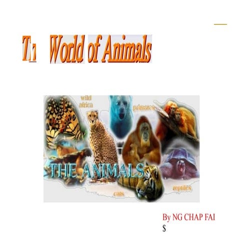 an introduction to the animal kingdom1.pptx