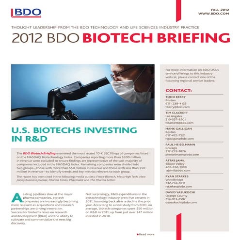 BDO Risk Factor Report