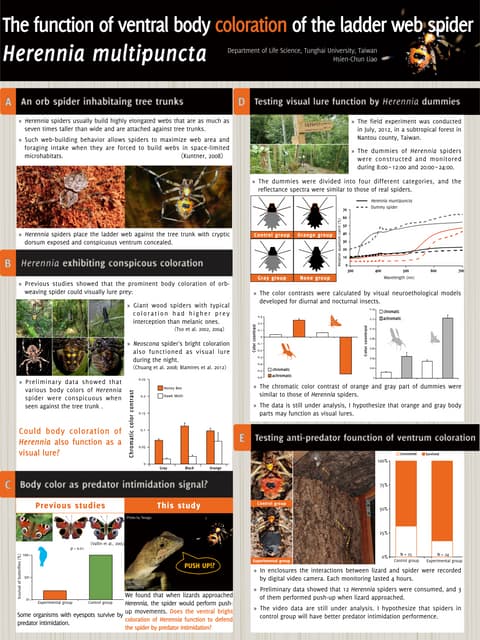 Echolocationandbatsczequeira | PPTX