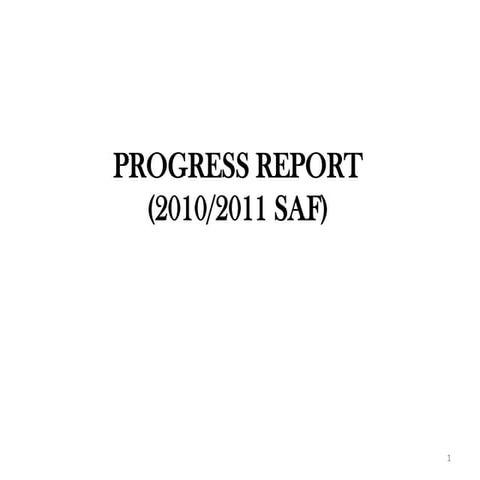2012 SAF Progress Report | PPTX