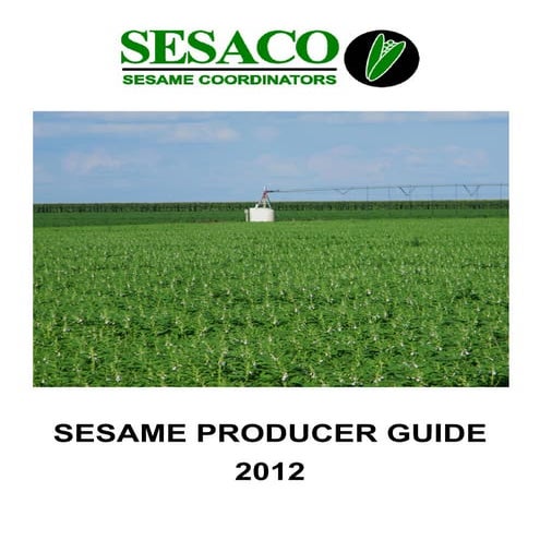 2012 sesame producer_guide_13_feb | PDF