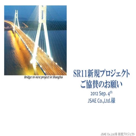 2012年度SR11販売企画 | PDF