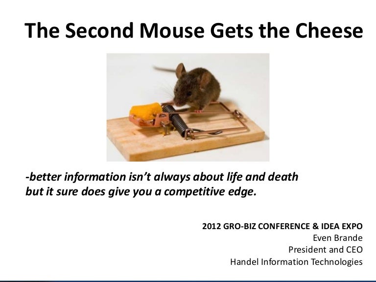 2012 the second mouse gets the cheese