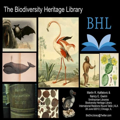 The Biodiversity Heritage Library | PPT