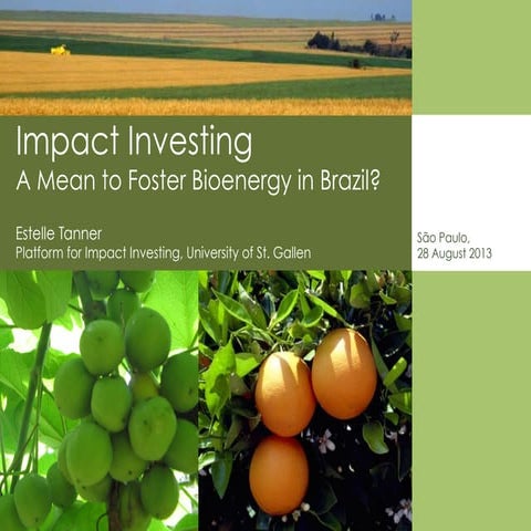 Biomass Projects in Brazil | PDF