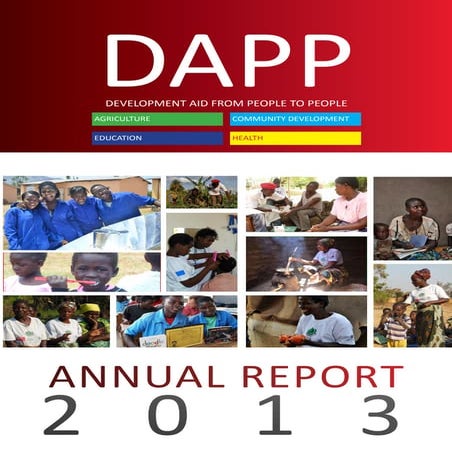 DAPP Malawi - 2013 Annual Report | PDF