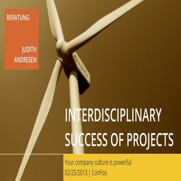 Interdisciplinary Success of Projects | PDF