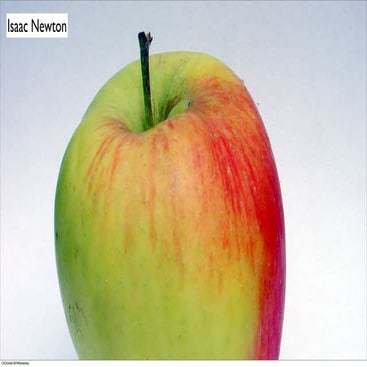 Cesar Harada, APM Marseille 2013, Présentation en séance plénière | PDF