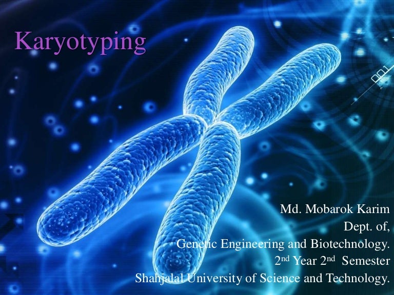 karyotyping
