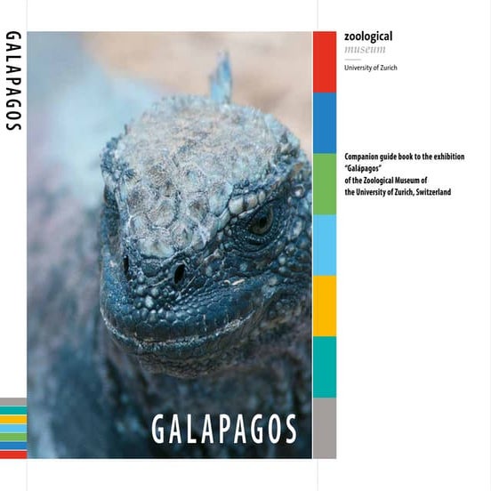 Animals in galapagos island | PPTX