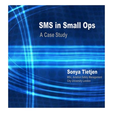 IHST - SMS in Small Operations | PDF