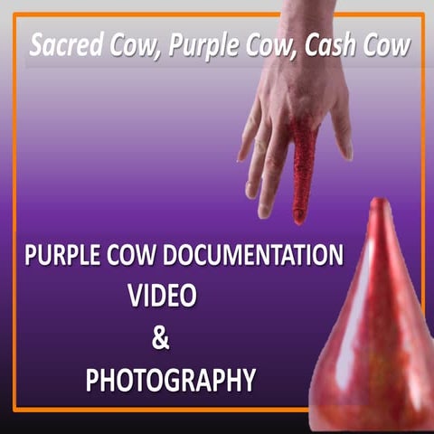 Purple Cow Documentation via Video and Photography by Rachel Timmins | PPTX
