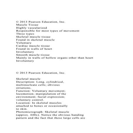 © 2013 Pearson Education, Inc.Muscle TissueHighly vasculariz.docx ...