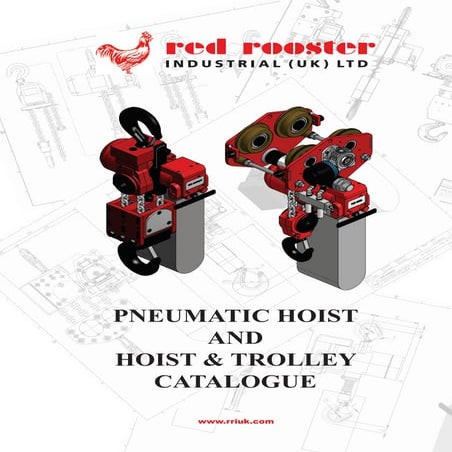 Red Rooster air hoist catalogue | PDF
