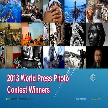 2013 World Press Photo Contest Winners | PPT