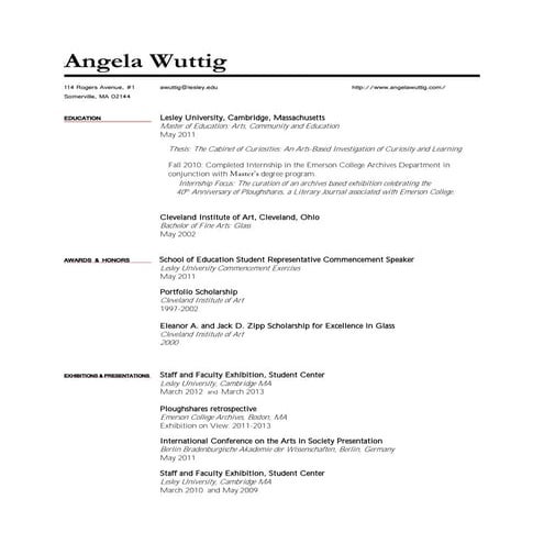 INTERNATIONAL EXPERIENCE- James Pasternak | PDF