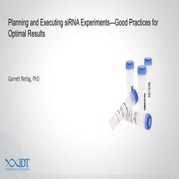 Planning and Executing siRNA Experiments—Good Practices for Optimal ...