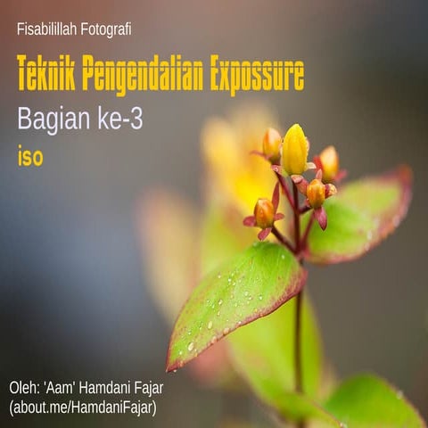 Teknik Pengendalian Expossure Bagian ke-3 - ISO (format PDF) | PDF
