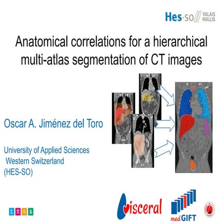 Anatomical correlations for a hierarchical multi-atlas segmentation of CT images | PDF