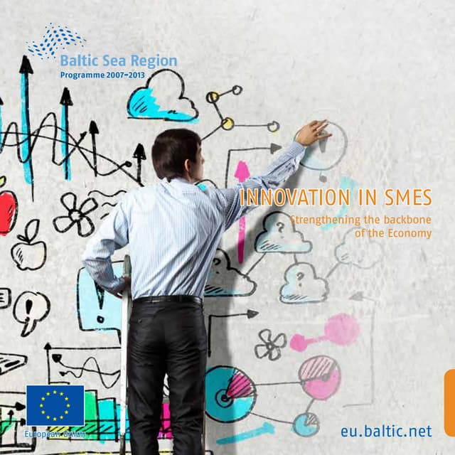 Innovation in SMEs | PDF | Small and Medium-sized Business | Business