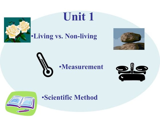 Lesson 6 making biological drawings & using keys | PPTX