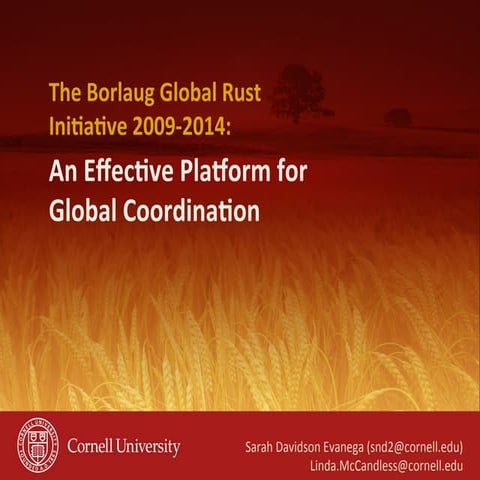 BGRI 2009- 2014: An effective platform for global coordination | PDF | Agriculture | Industries