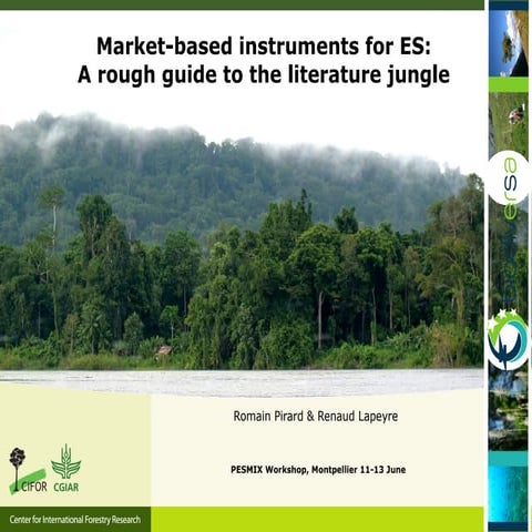 Market-based instruments for ES: A rough guide to the literature jungle ...