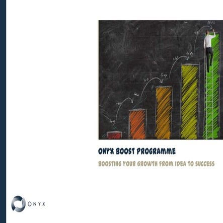 Onyx Boost Programme overview | PPT