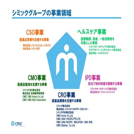 Business Fields of CMIC Group | PDF