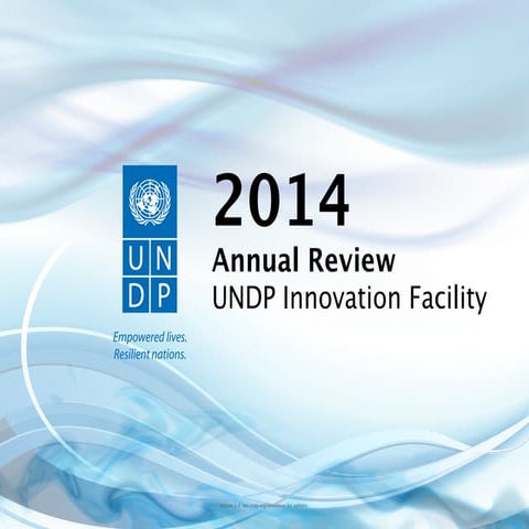 UNDP Innovation Facility 2014 Annual Review | PPT