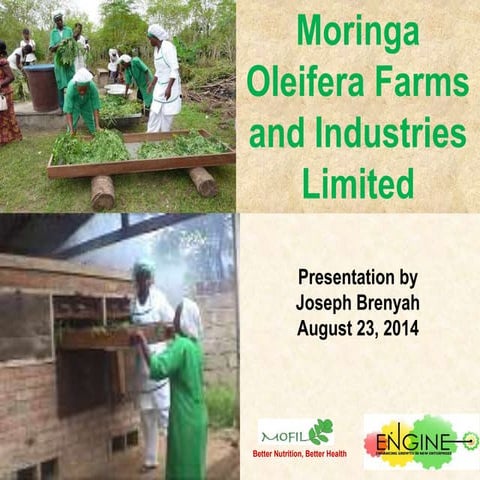 2014 mofil oral pitch presentation | PPT