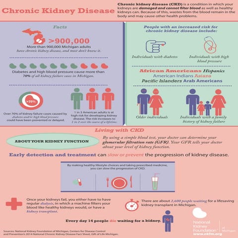2014 national kidney month infographic | PDF