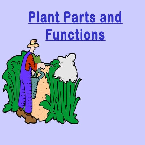 Powerpoint plant parts for science gr 5 | PPT