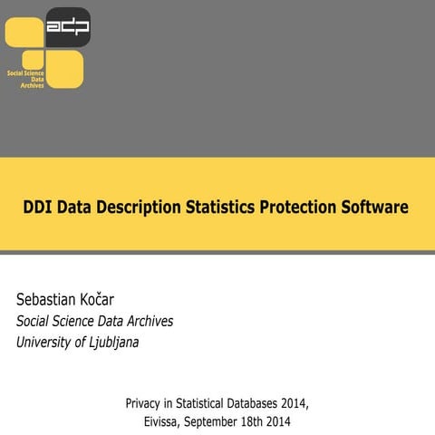 DDI Data Description Statistics Protection Software | PDF