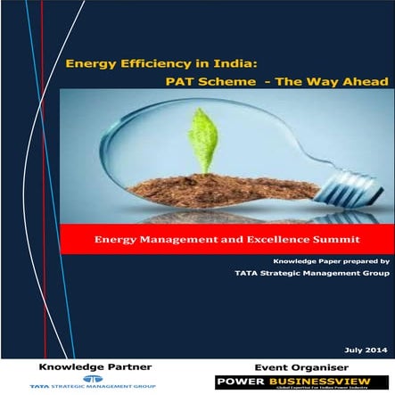 Report Energy Efficiency in India: PAT Scheme - The Way Ahead | PDF