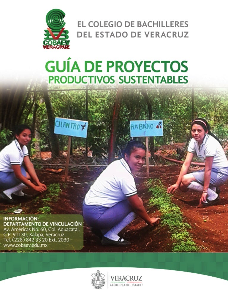 Guia proyectos productivos sustentables
