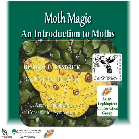 Moth Magic - an introduction to moths | PPTX