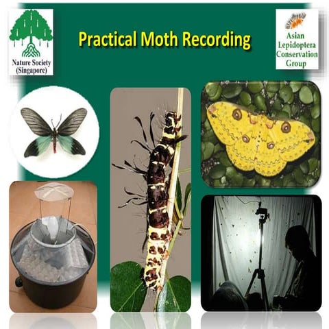 Practical Moth Recording | PPTX